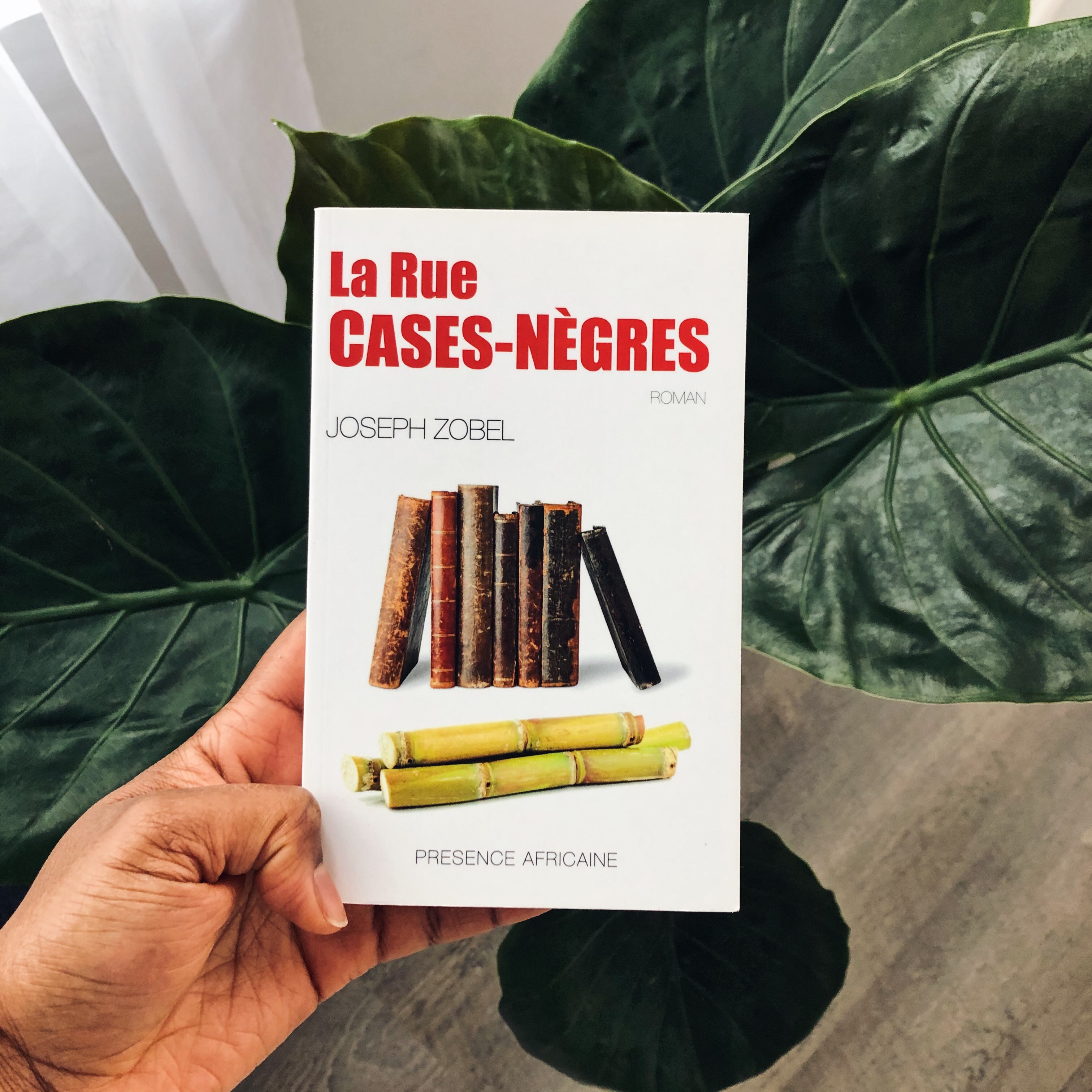 La Rue Cases-Nègres – Joseph Zobel – Journal d'une Book Addict